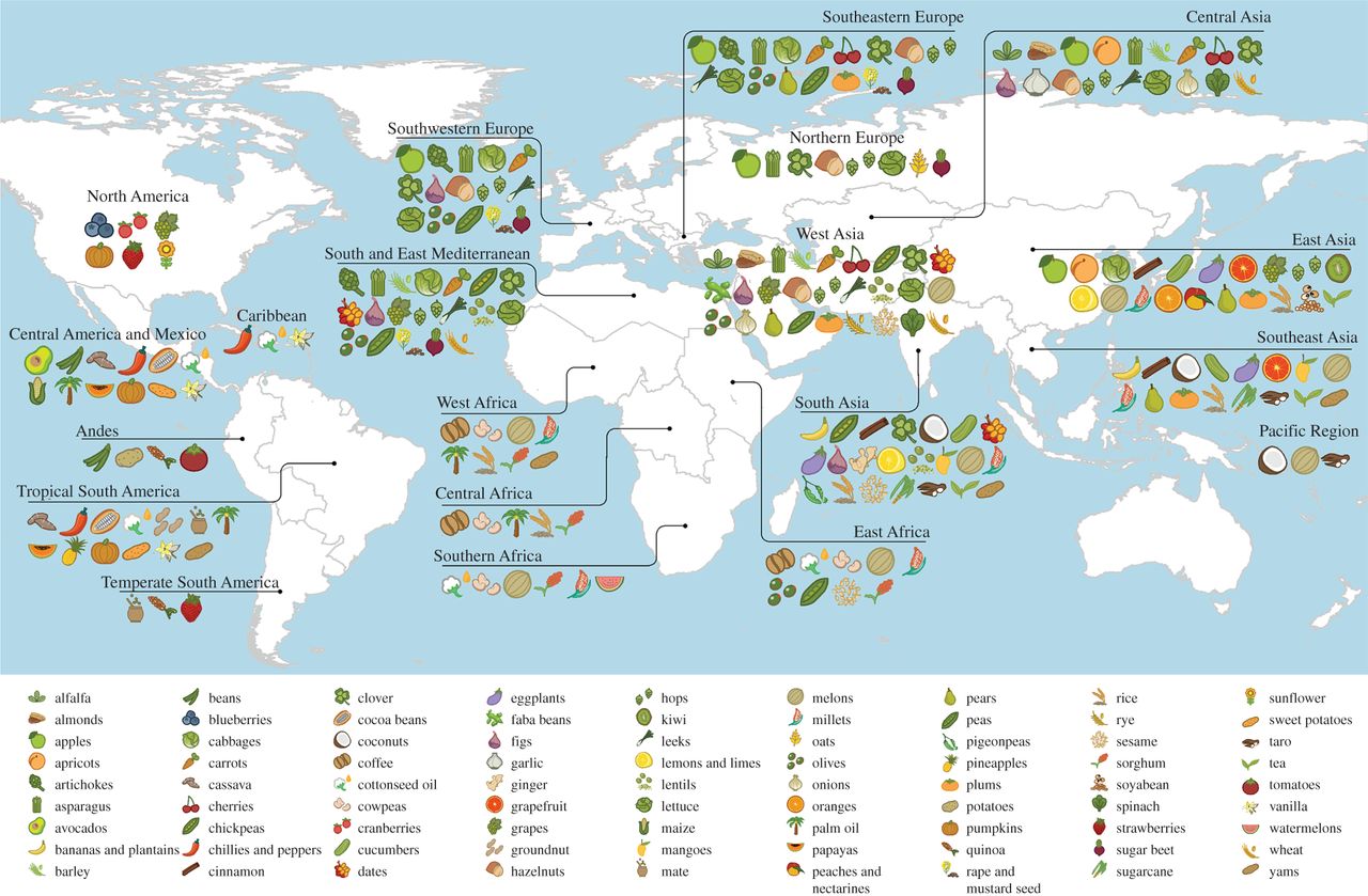 Where does your food come from? – Prof Andy Lowe